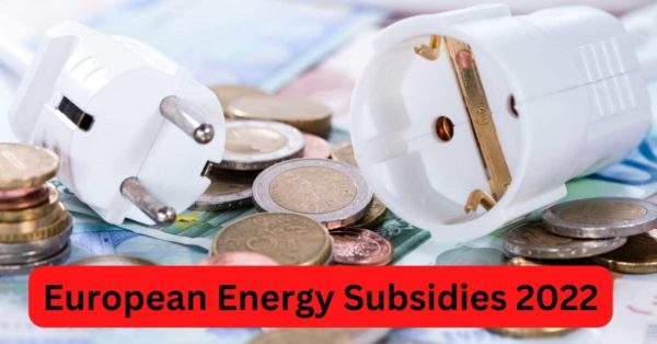 (2026) European Energy Subsidies 2022. What Europe's Energy Crisis Cost ...